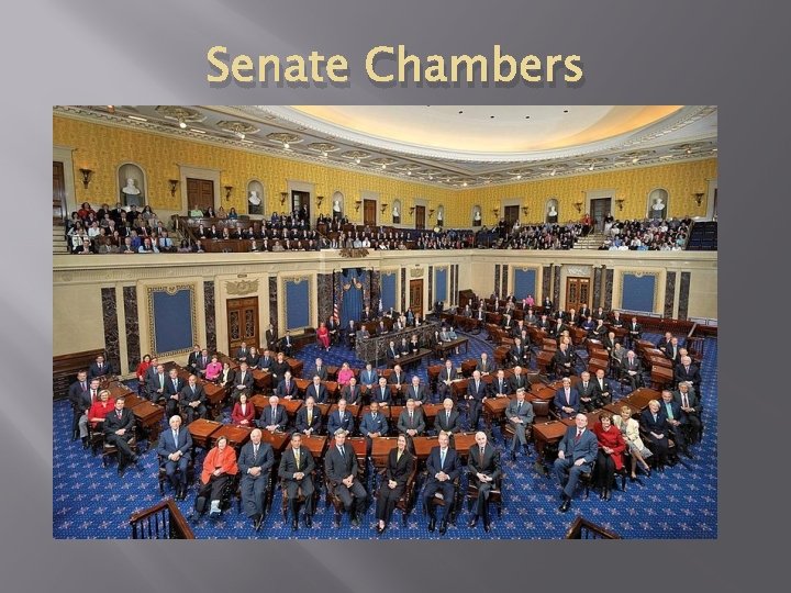 THE LEGISLATIVE BRANCH The Capital Washington D C