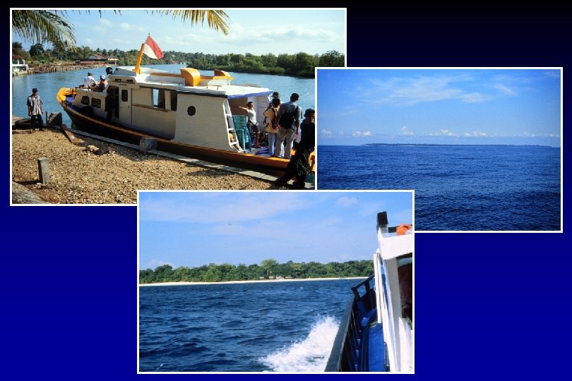 Indonesia Java Bogor Agricultural Univ Tinjil Island Natural