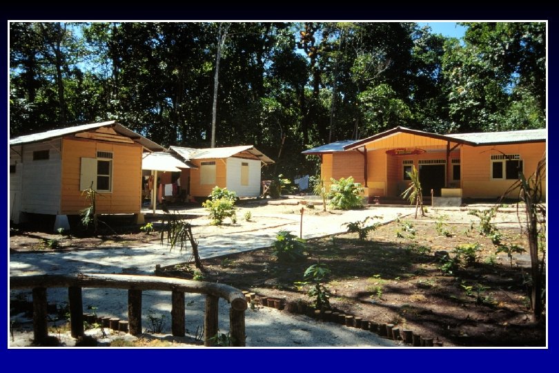 Indonesia Java Bogor Agricultural Univ Tinjil Island Natural