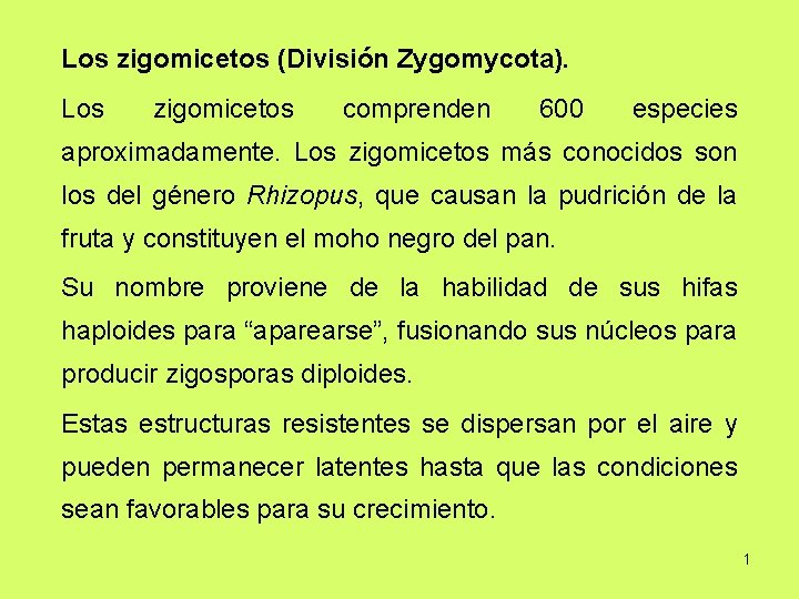 Los zigomicetos Divisin Zygomycota Los zigomicetos comprenden 600