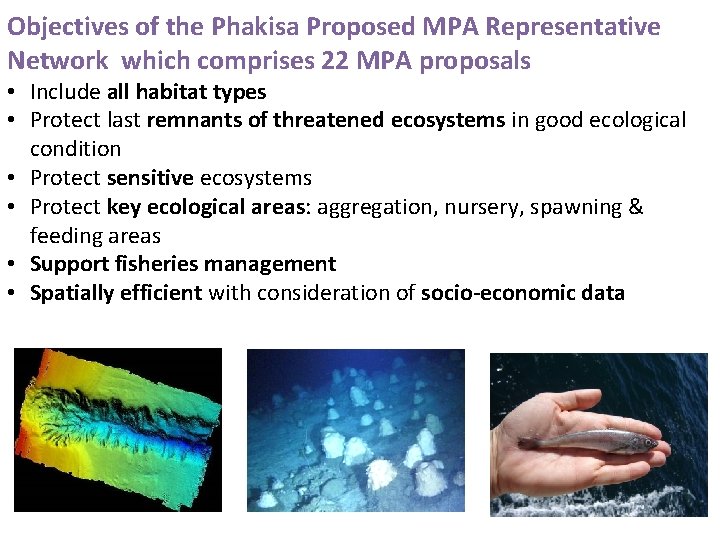 MARINE BIODIVERSITY EVIDENCE A DEA RESEARCH PRIORITY MPA