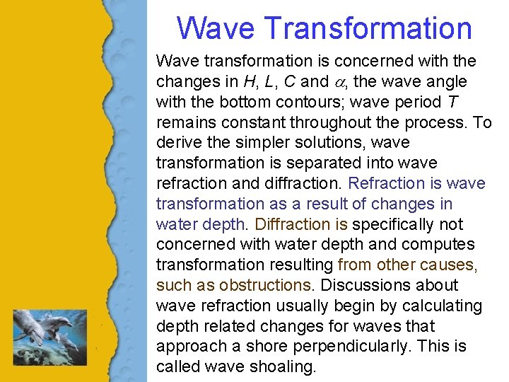 Wave Transformation Mazen Abualtayef Associate Prof IUG Palestine