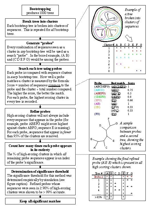 Bootstrapping produces 1000 trees F A C B