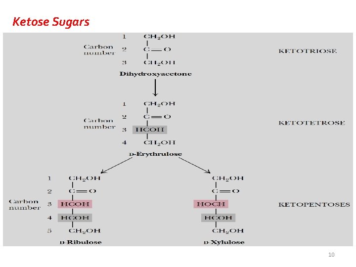 1 CARBOHYDRATE STRUCTURES 1 Carbohydrates the most abundant
