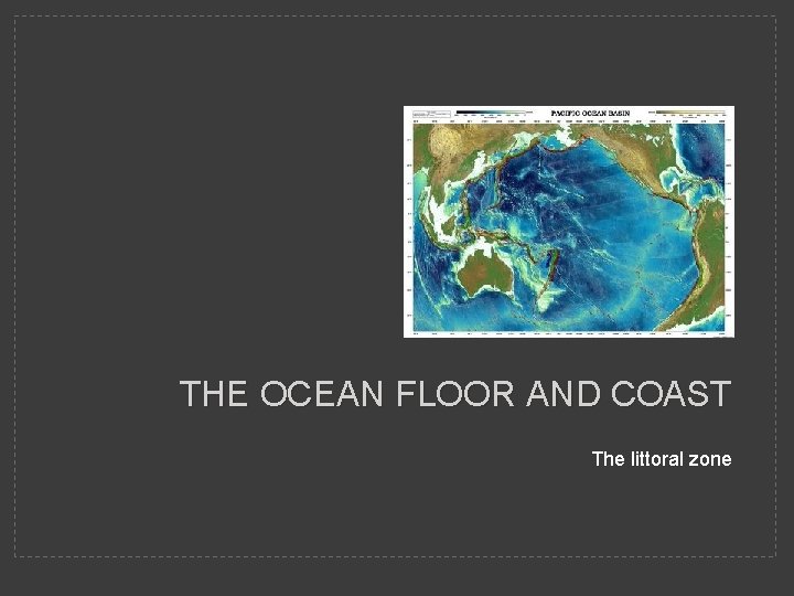THE OCEAN FLOOR AND COAST The littoral zone