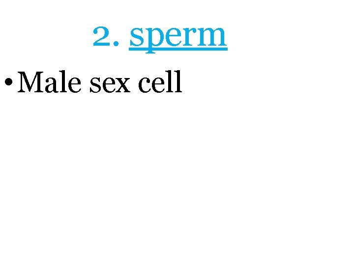 Human Development Vocabulary 1 Meiosis Humans production of