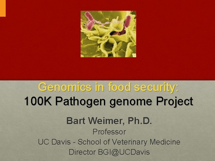 Genomics in food security 100 K Pathogen genome