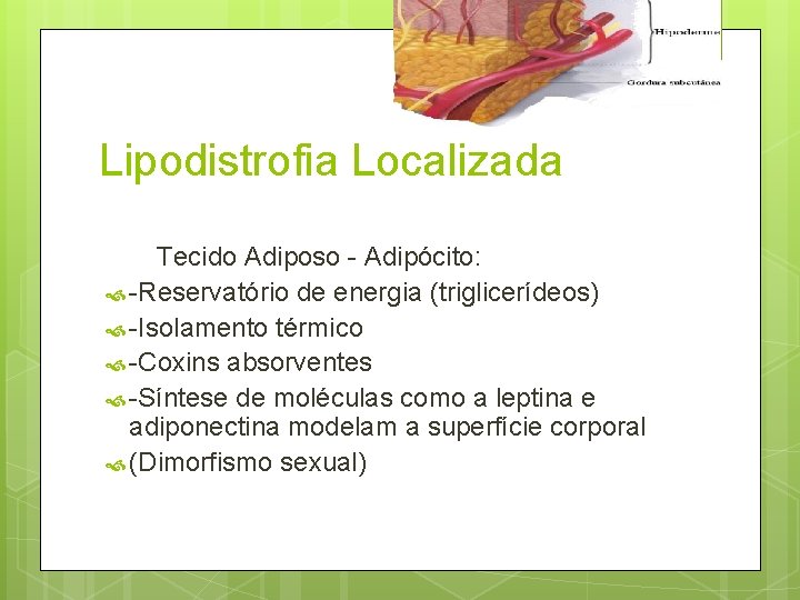 Lipodistrofia Localizada Ana Paula Caleffi Segura Lipodistrofia Localizada