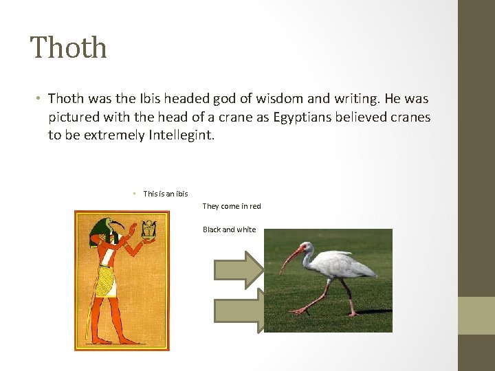 10 most important Deities John Helm Ra Horus