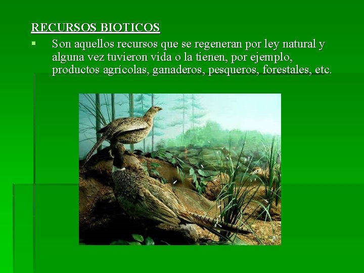 Unidad 2 Recursos naturales biodiversidad reas protegidas de