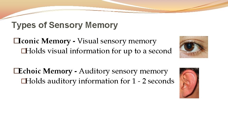 Memory and Thought Chapter 3 Memory The storage