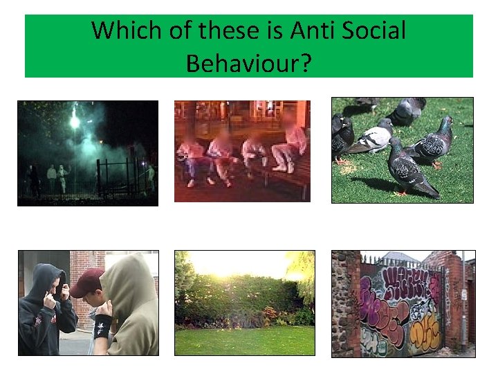 Knife Crime Year 9 Anti Social Behaviour Learning