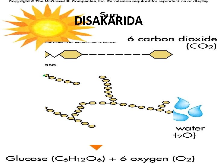 KARBOHIDRAT PERTEMUAN 2 ARIYO PRABOWO PRODI BIOTEKNOLOGI FAKULTAS