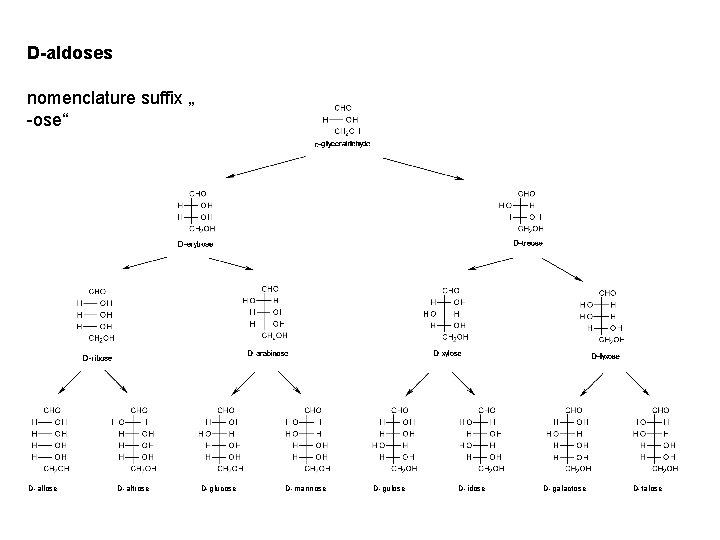 aldoses polyhydroxy carbonyl compounds of general formula Cn