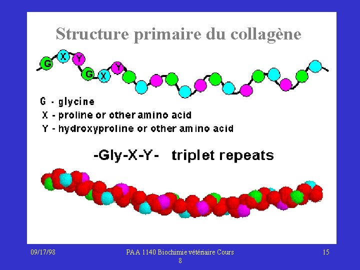 Chapitre 2 Structure et fonction des protines Introduction