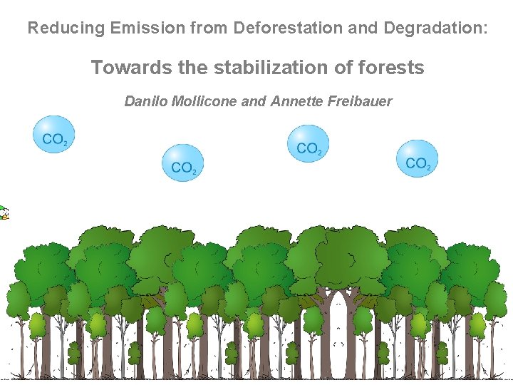 Reducing Emission from Deforestation and Degradation Towards the