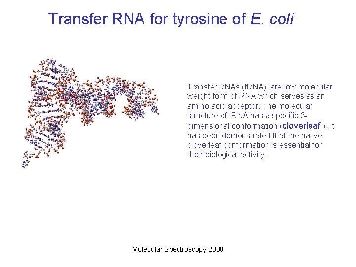 VIBRATIONAL SPECTROSCOPY OF TRANSFER RNA OF E COLI