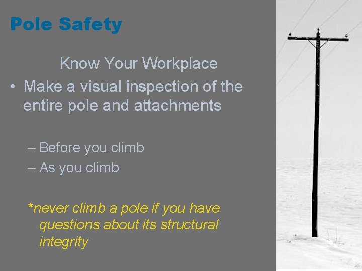 Pole Safety Inspecting Wood Poles Pole Safety Too