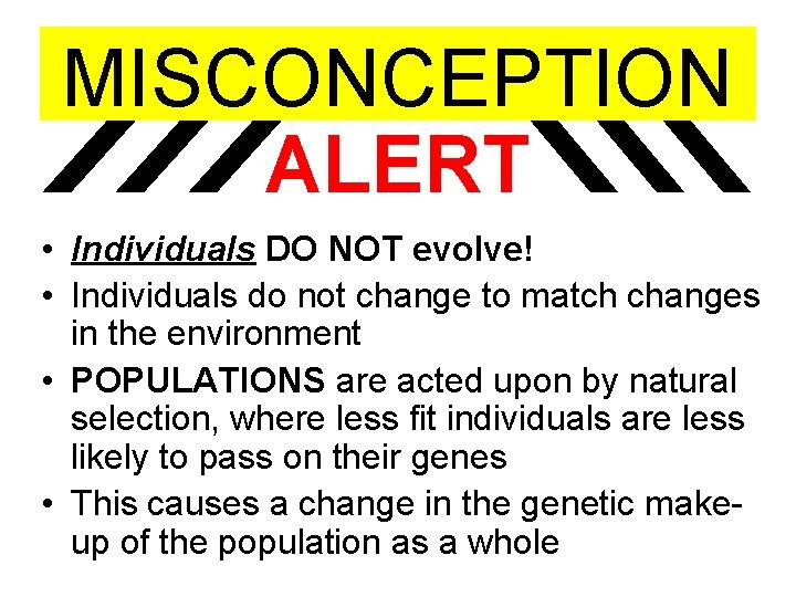 Breeding Bunnies Lab Observe the graph and discuss