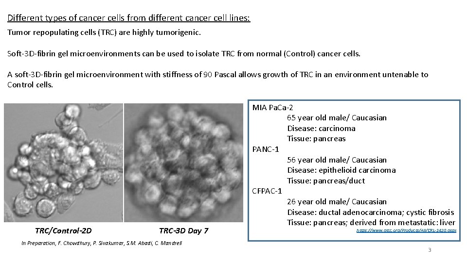 Machine Learning Applied to Raman Spectra of Pancreatic