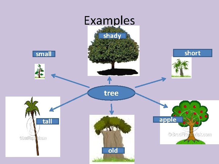 Comparison Adjectives and Adverbs Revision Grade 11 Competency