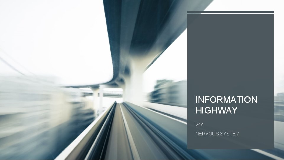 INFORMATION HIGHWAY 24 A NERVOUS SYSTEM NERVOUS SYSTEM