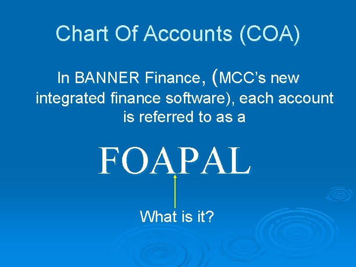 Monroe Community College Introduction to Banner Finance Chart