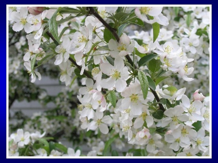 De 1792 1806 le calendrier rpublicain et rvolutionnaire