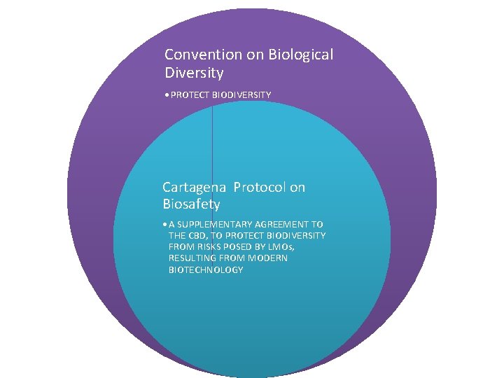 Biosafety Clearing House Convention on Biological Diversity PROTECT