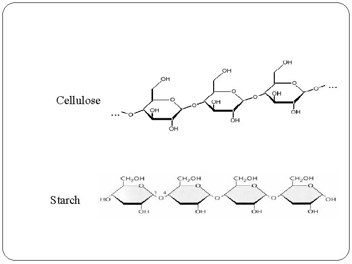 Biochemistry Photosynthesis Capture and use of solar energy
