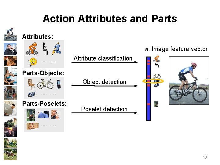 Human Action Recognition by Learning Bases of Action
