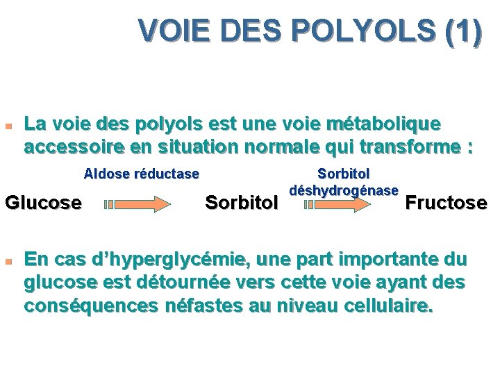 MICROANGIOPATHIE DIABETIQUE De la physiopathologie au traitement cours