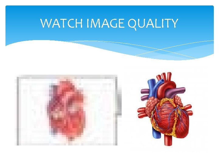 Community Project Presentation Tips and Content Guide TIPS