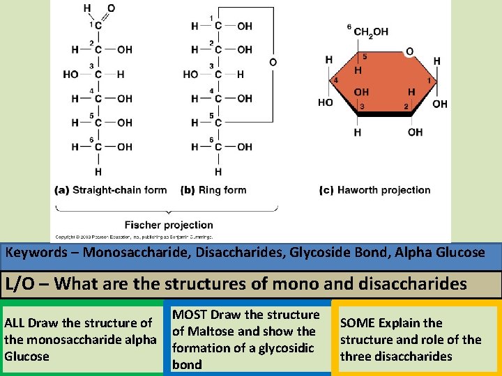ALL Draw the structure of the monosaccharide alpha