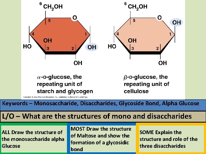 ALL Draw the structure of the monosaccharide alpha