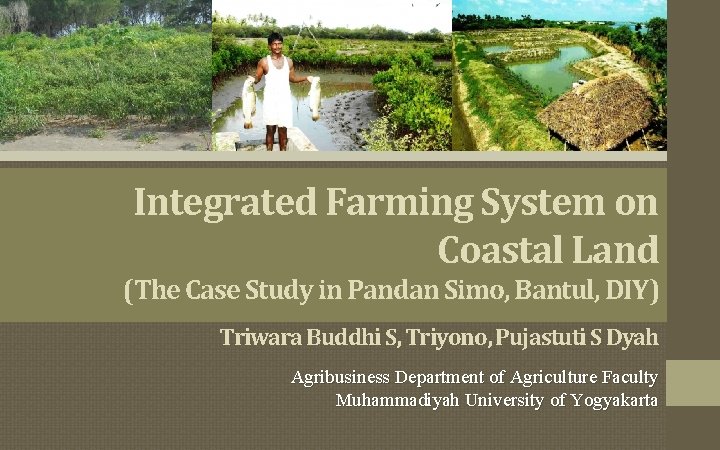 Integrated Farming System on Coastal Land The Case