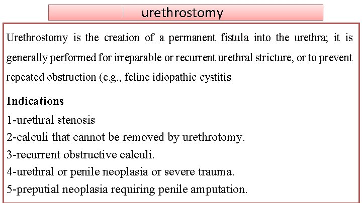Cystotomy Isolate the bladder from the rest of