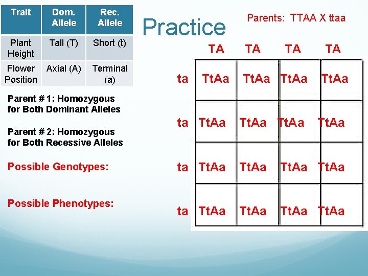 Dihybrid Crosses Study of inheritance of two traits