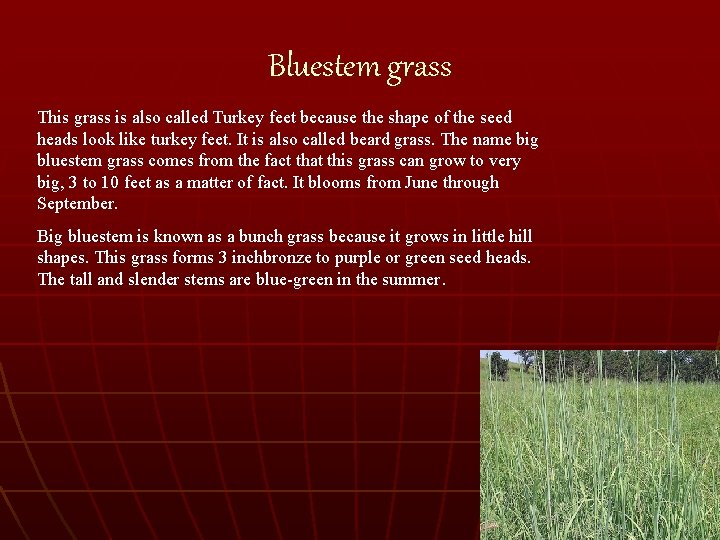All about the Wonderful Prairies AZ Isaiah Barber