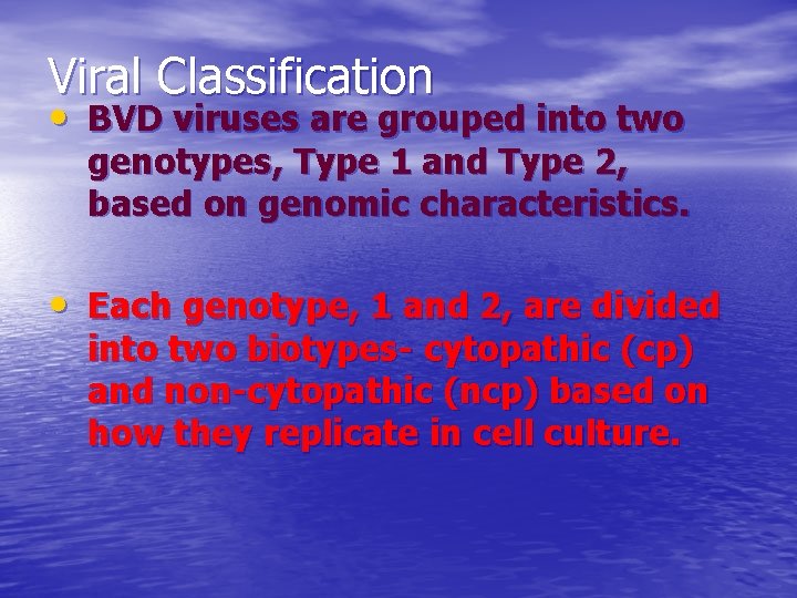 BVDMD BVDMD why BVDV was first recognized in