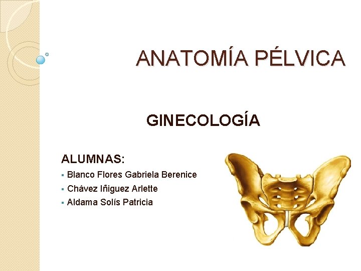 ANATOMA PLVICA GINECOLOGA ALUMNAS Blanco Flores Gabriela Berenice