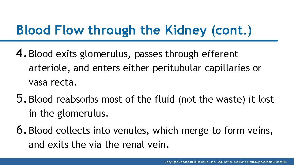 15 The Urinary System Section 15 1 The