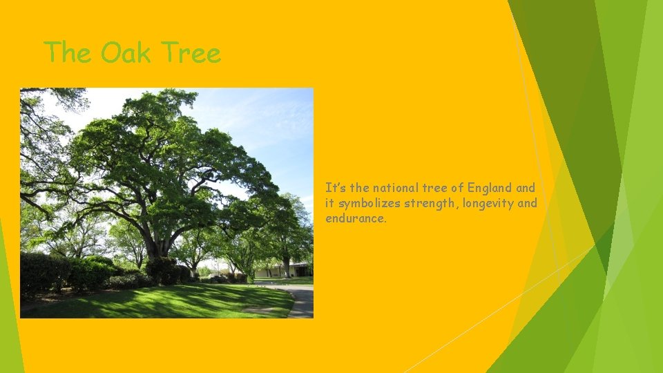 The United Kingdom Symbols Traditions St Georges flag