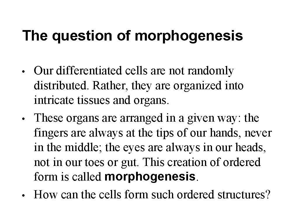 Developmental biology The anatomical tradition Prepared by Kheam
