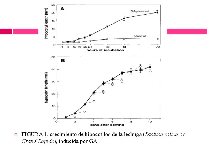REGULACIN HORMONAL DEL CRECIMIENTO CELULAR Stephanie Flores Gamboa