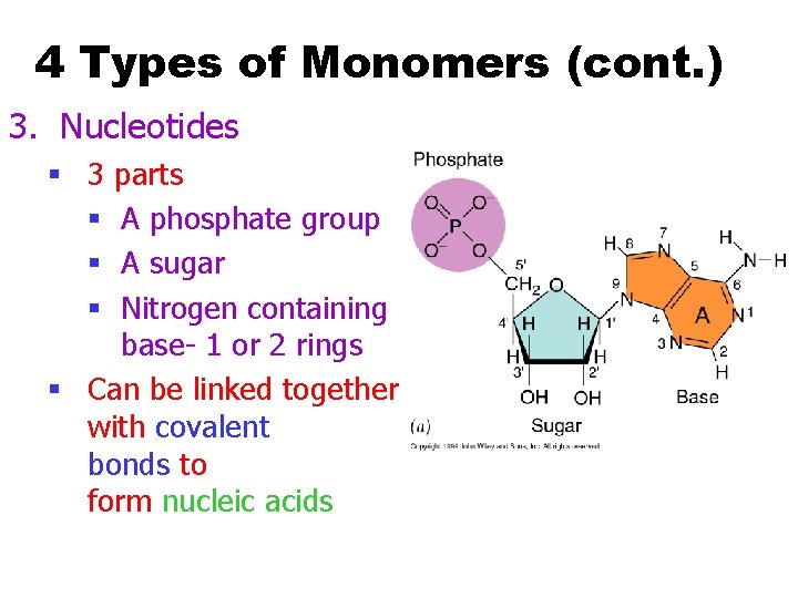 The Chemistry of Life cont Biological Molecules Carbon