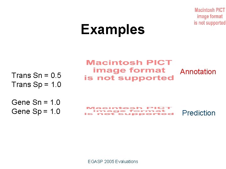 EGASP 2005 Evaluation Protocol Paul Flicek EBI Basics
