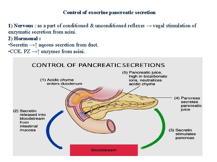 4 PANCREATIC SECRETION Prof Sherif W Mansour Physiology