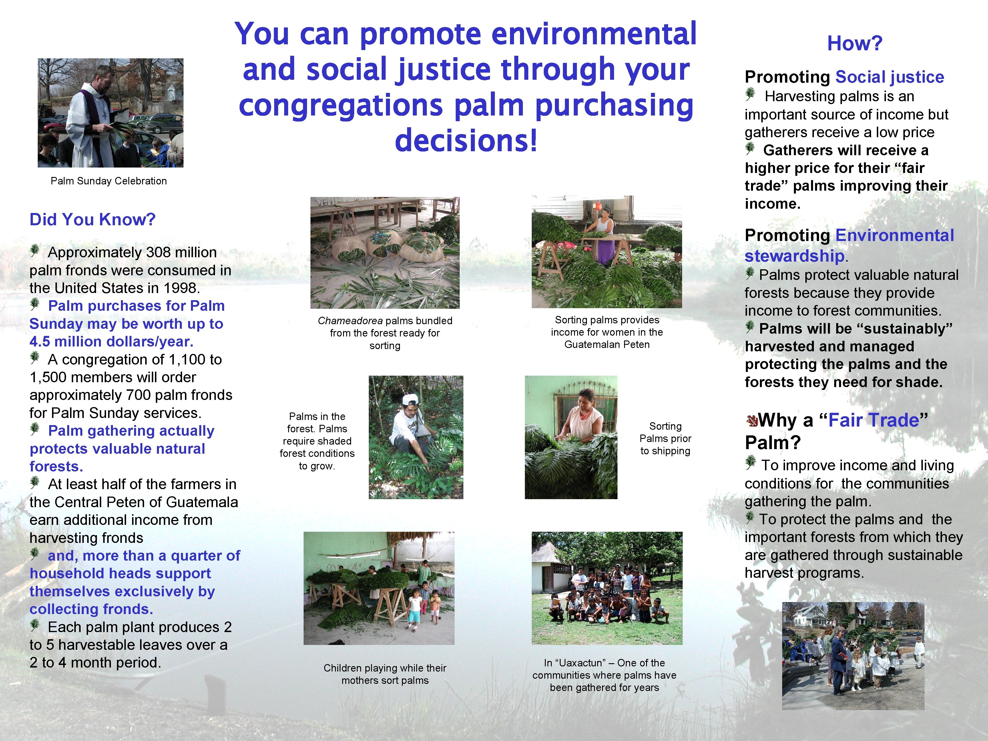 You can promote environmental and social justice through