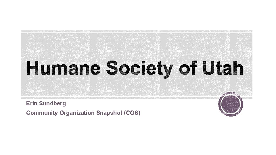 Erin Sundberg Community Organization Snapshot COS History The